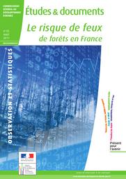 Le risque de feux de forêts en France. - Risques majeurs